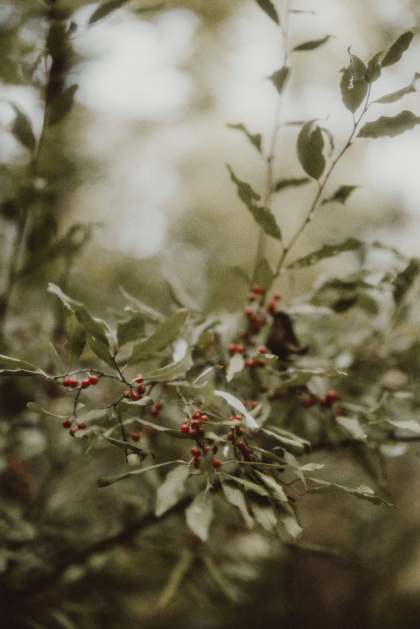 E + F | Couple's Boudoir in the Autumn Forest | Afterglow
