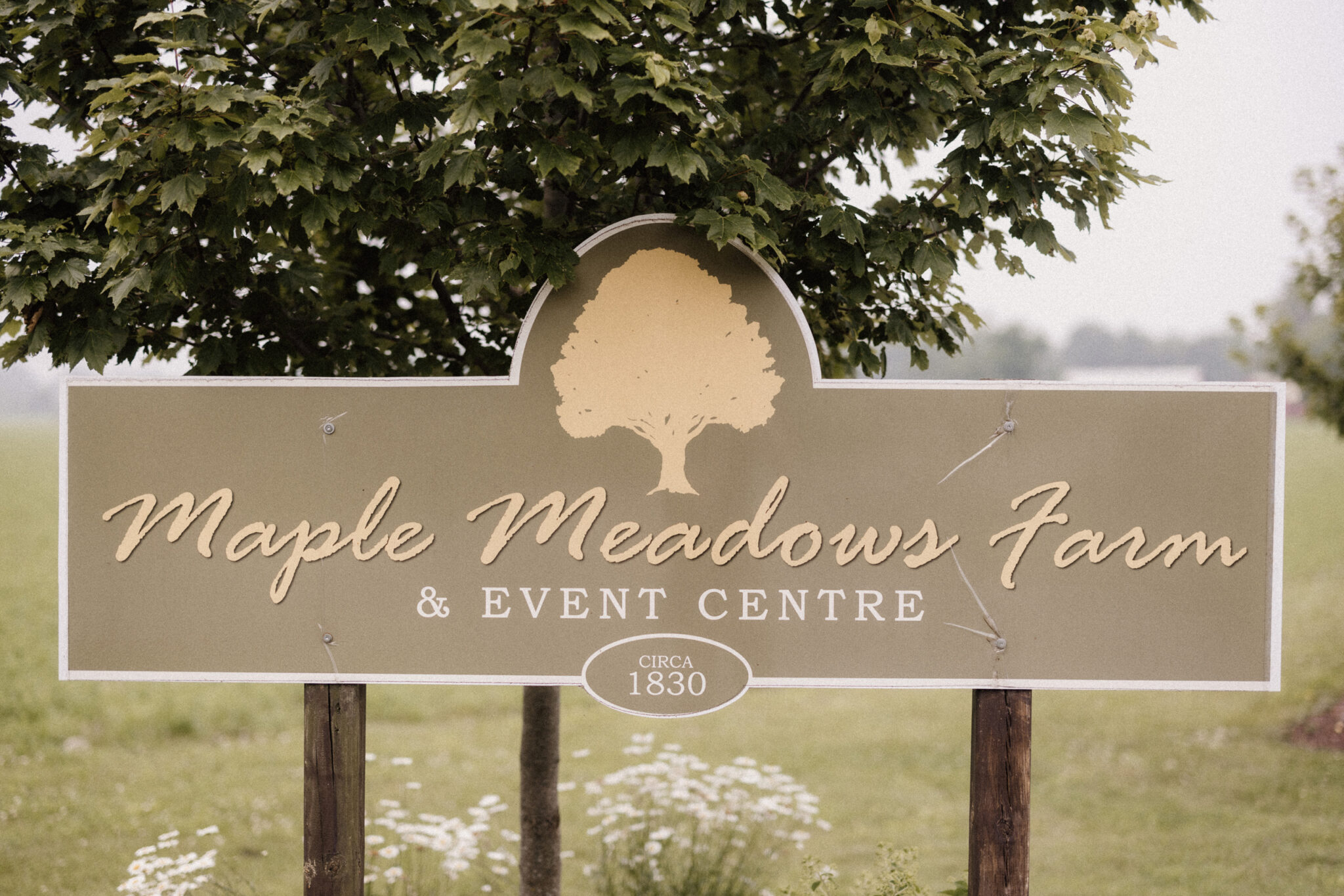 O + D | Maple Meadows Farm Wedding | Afterglow