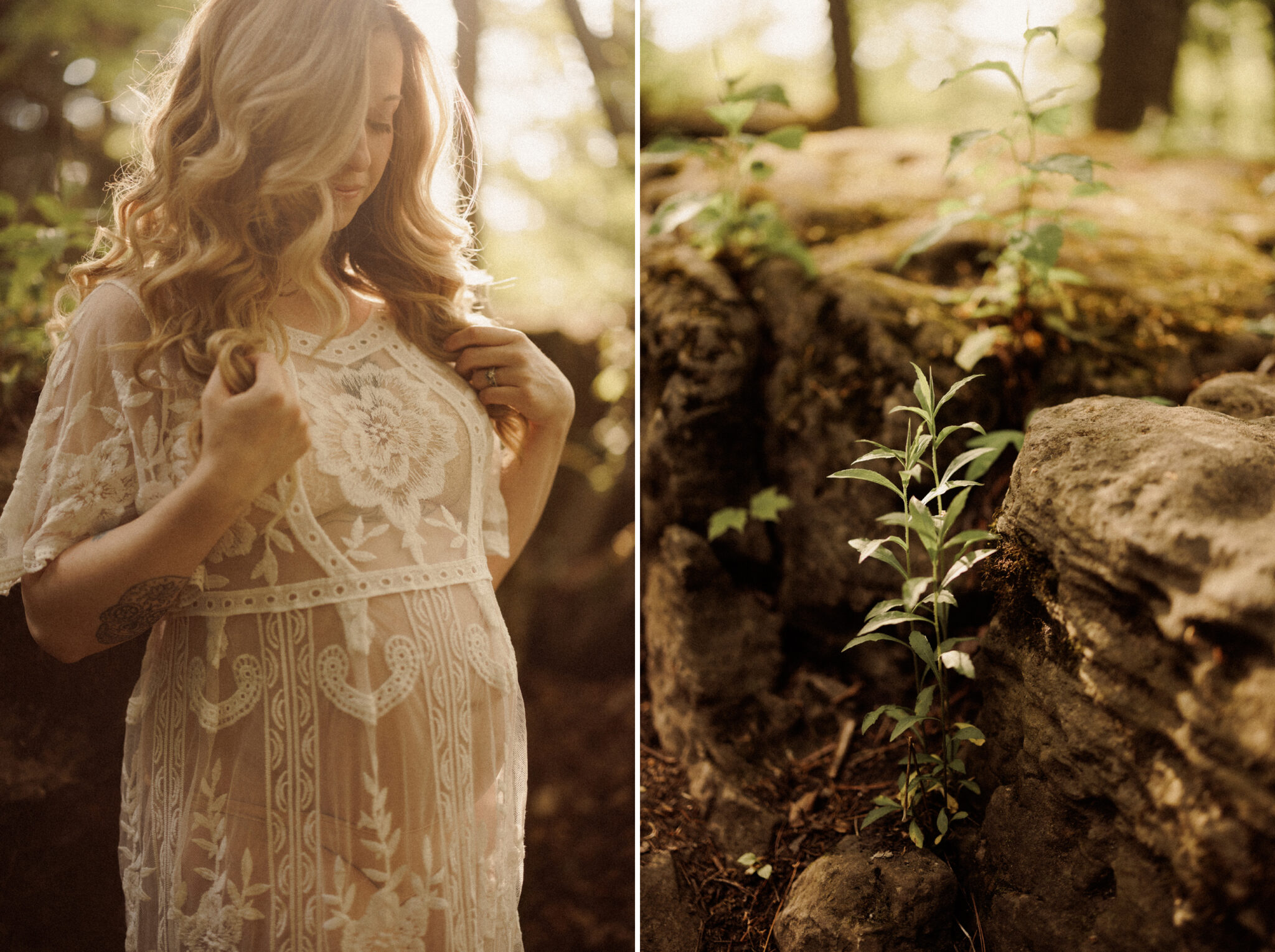 R | A Forest Dream Awaits | Afterglow