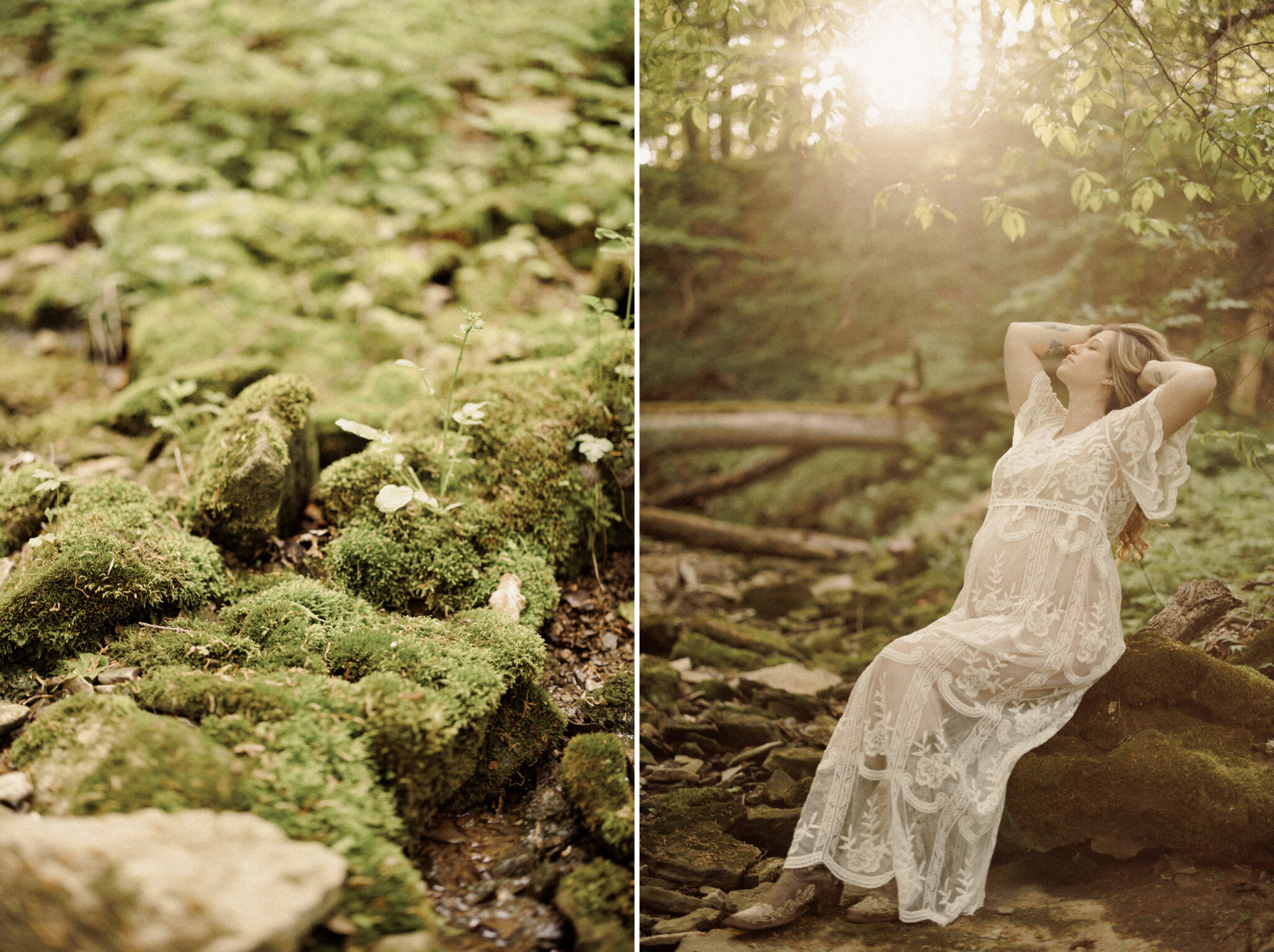 R | A Forest Dream Awaits | Afterglow